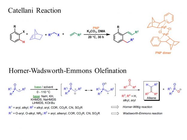 Catellani Reaction & HWE reaction – Huang Group