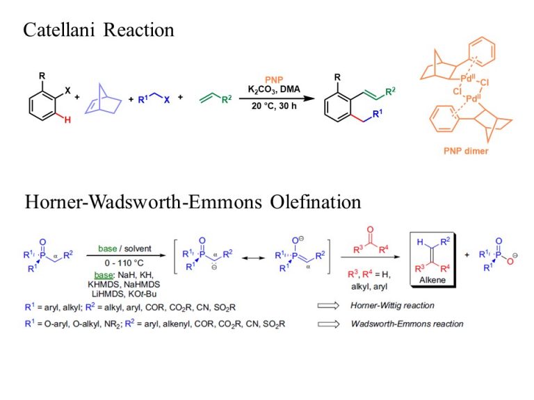 Catellani Reaction & HWE reaction – Huang Group