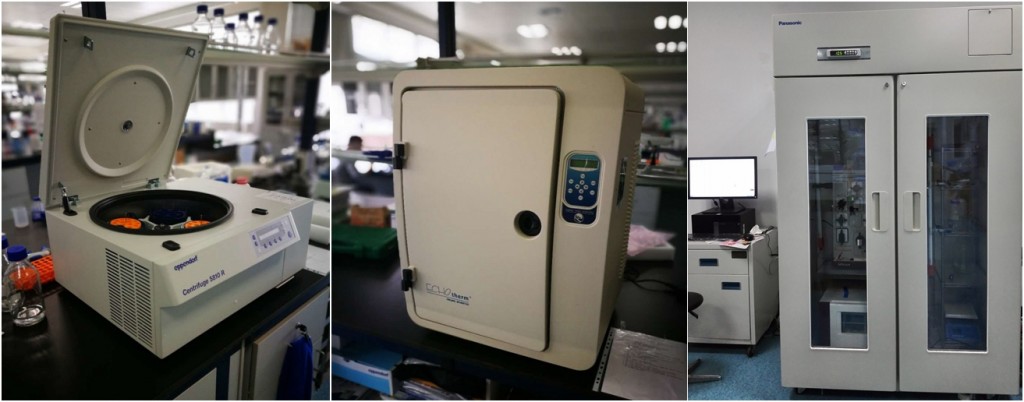 黄昊课题组 - HUANGHAO LAB