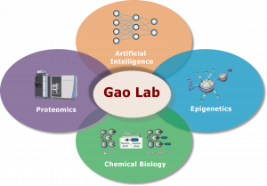 Gao Lab @ PKUSZ | Chemical Proteomics & Protein PTM Lab