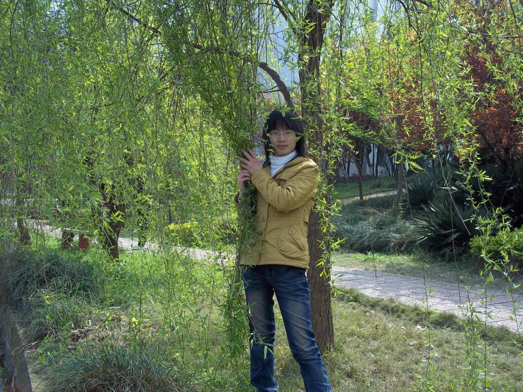 limingying – 深圳再生复合环保材料工程实验室